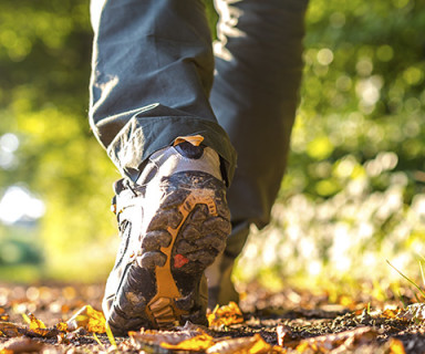 Common labs and recommended values for your health | Shine365