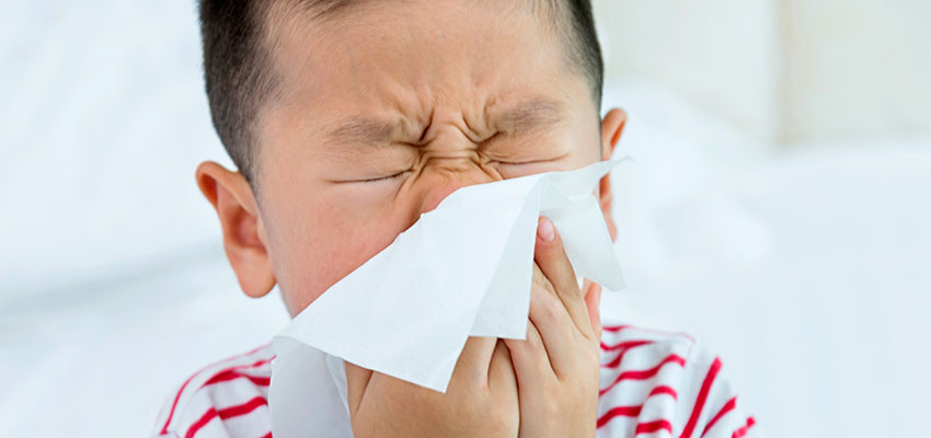 Allergy testing: It’s not all about needles anymore | Shine365 from ...