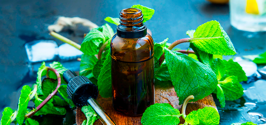 Essential oils and health: 5 things to know | Shine365 from Marshfield ...