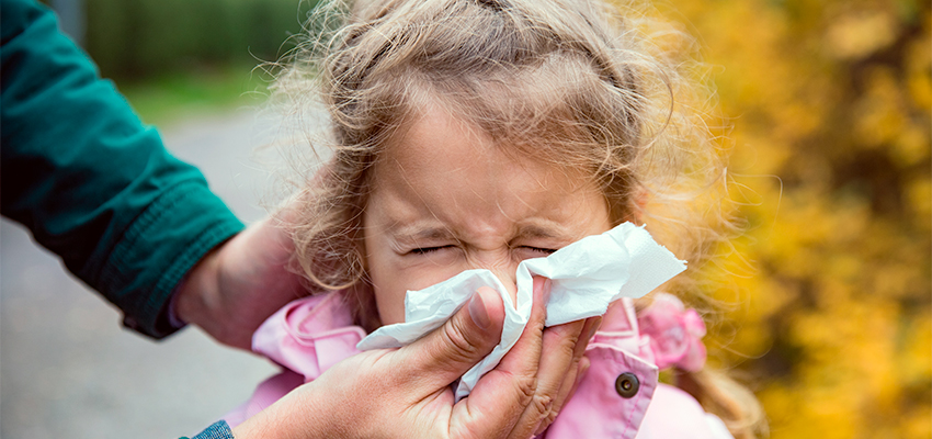 What is a virus? 4 things you should know | Shine365 from Marshfield Clinic